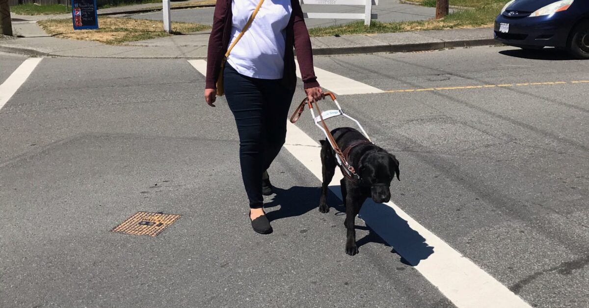 Tip#10 for Successful Interactions with a Blind Person:… – The Canadian ...